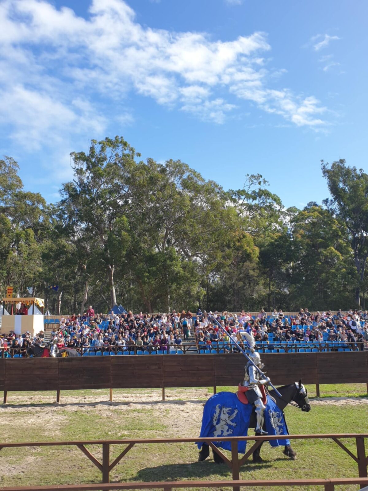 Stepping Back in Time: The Medieval Festival - Dads4Kids
