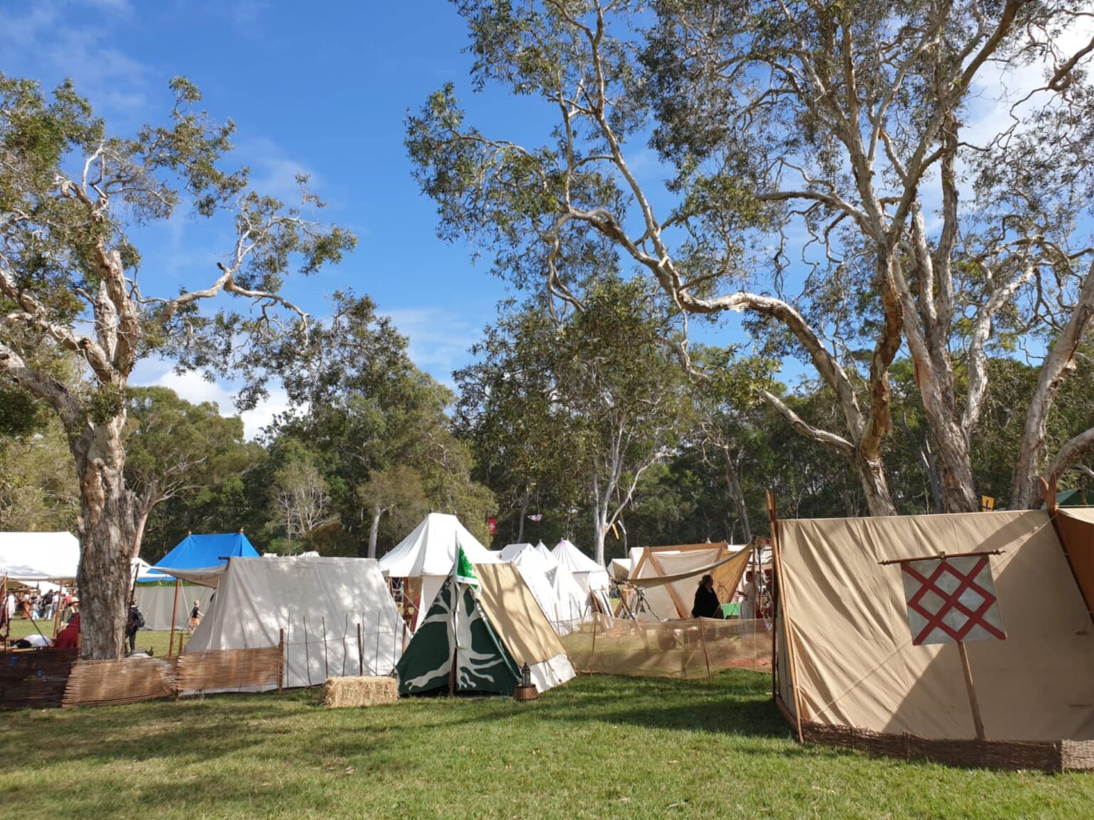 Stepping Back in Time: The Medieval Festival - Dads4Kids